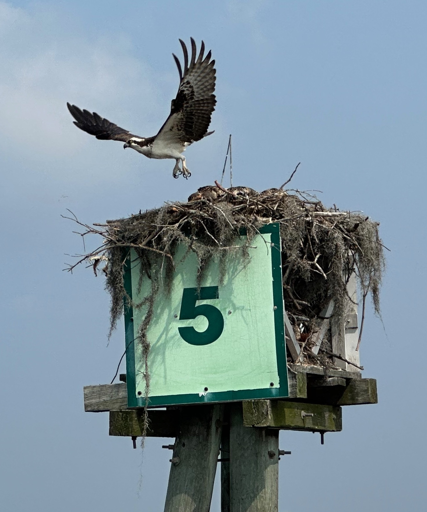 Albemarle Sound Loop – Adventures of Mischief